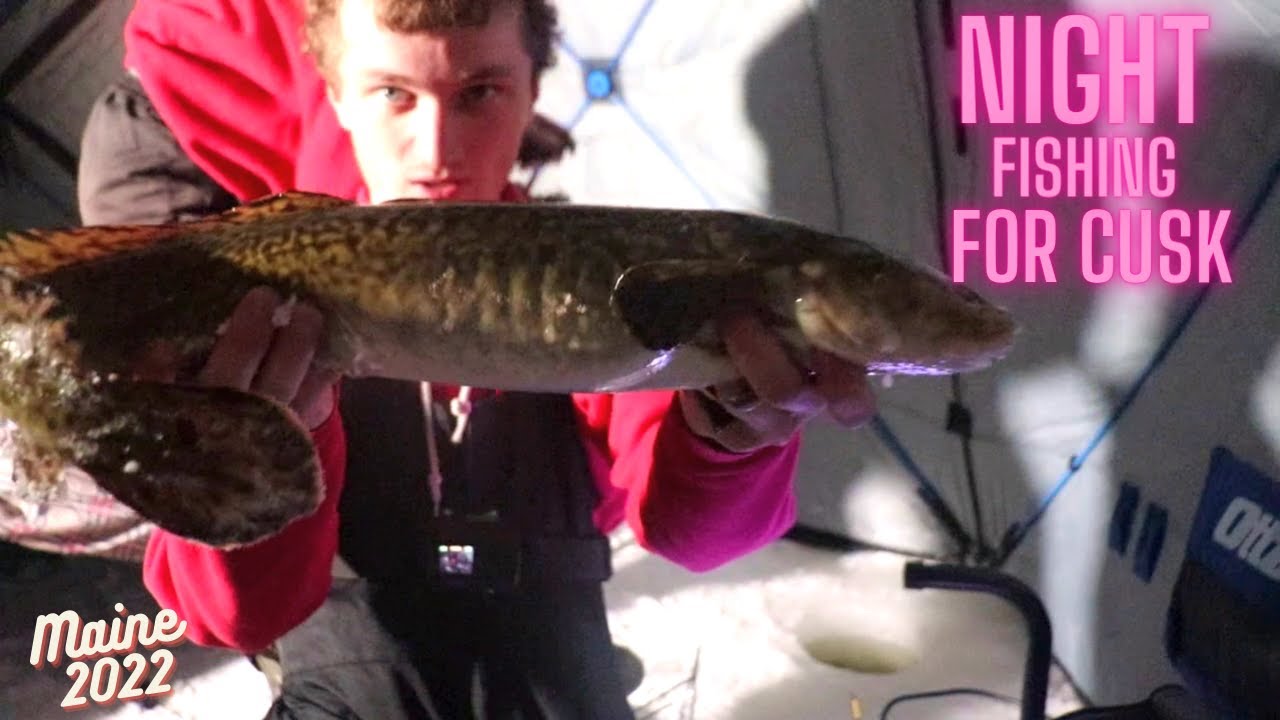 NIGHT Creatures of the LAKES - Cusk Fishing! - YouTube