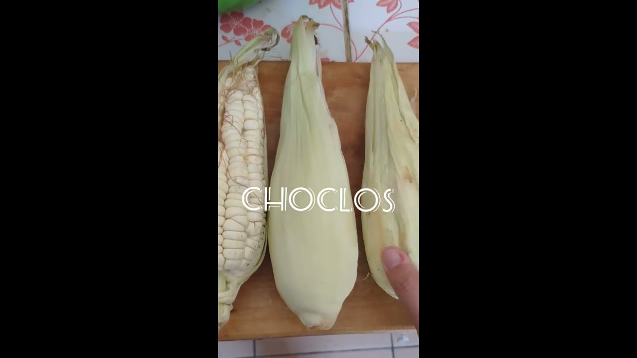 Como cocinar CHOCLOS Ricos y Deliciosos - YouTube