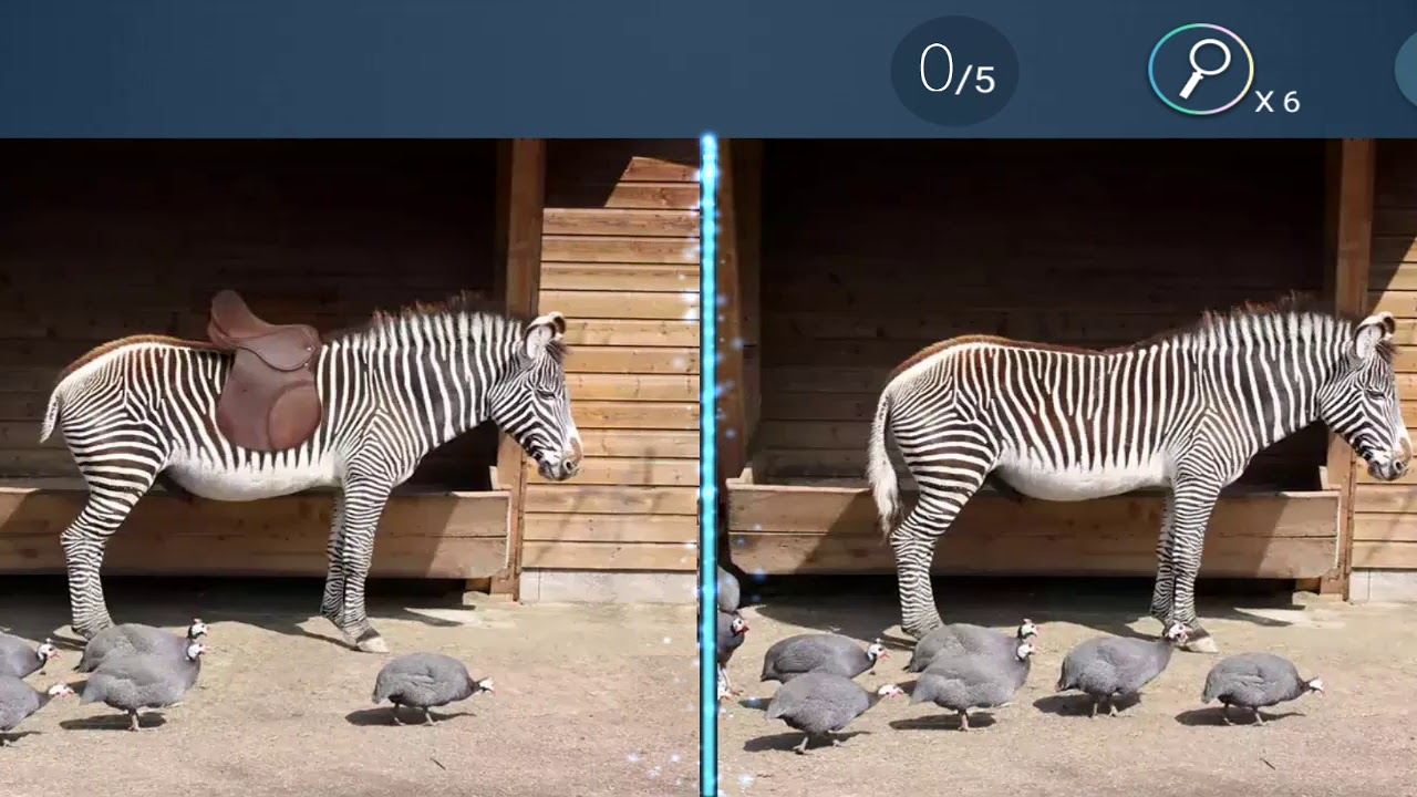 Find the difference king animal round 11 ~ 20 - YouTube