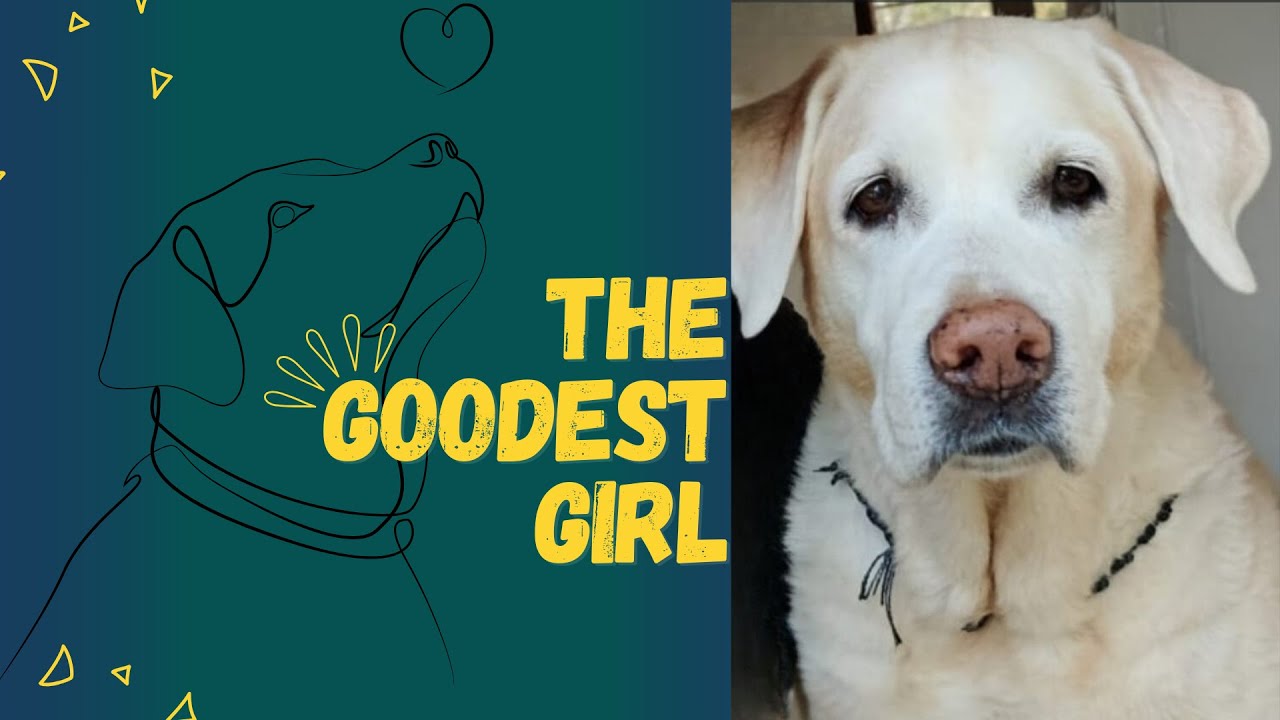 The Goodest Girl - YouTube