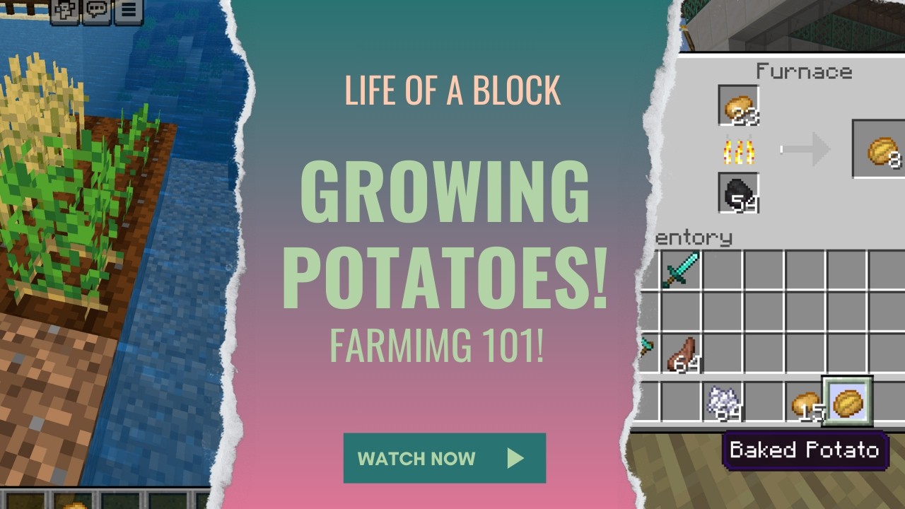 Minecraft Farming 101: Growing Potatoes - YouTube