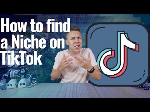 How to Pick a Niche for TikTok
