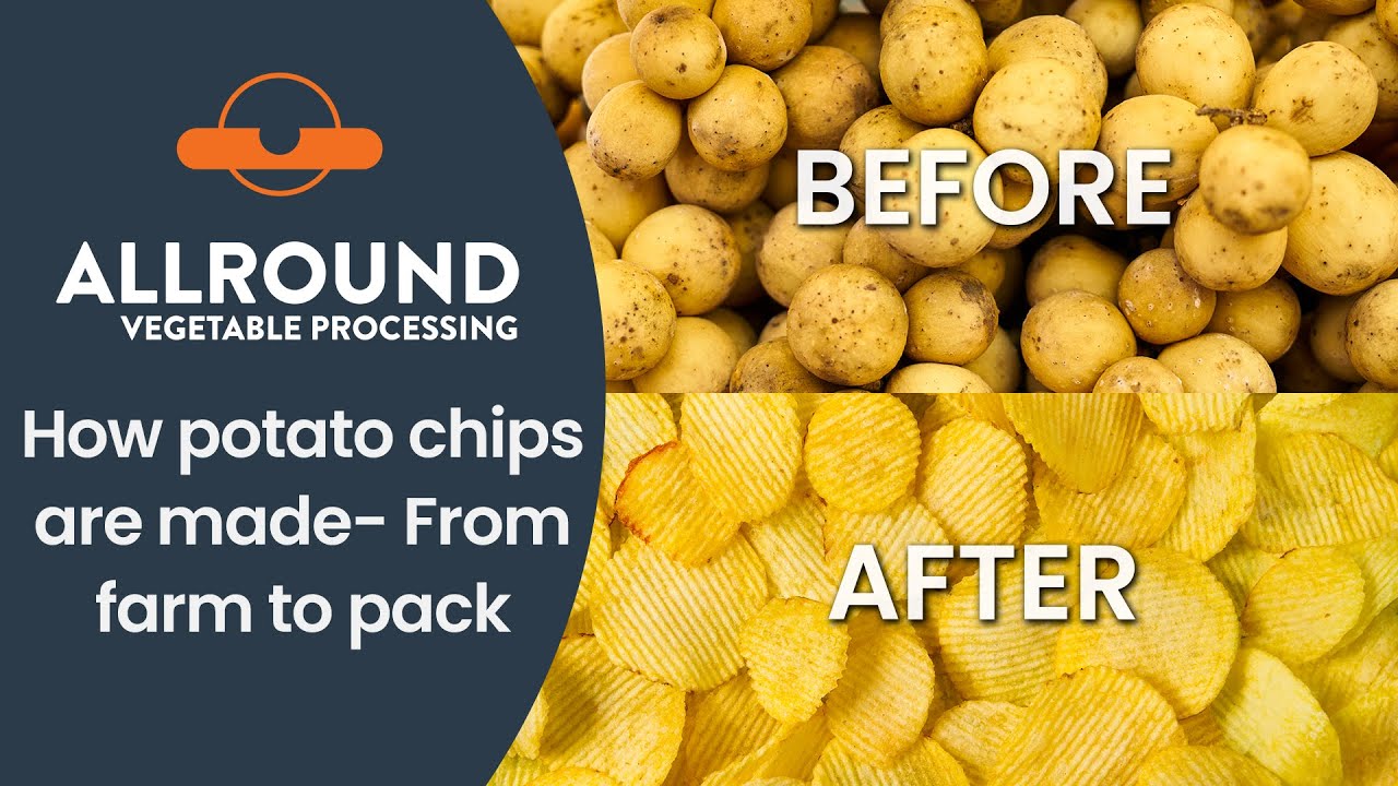 How potatoes chips are made - From farm to pack I Allround Vegetable ...