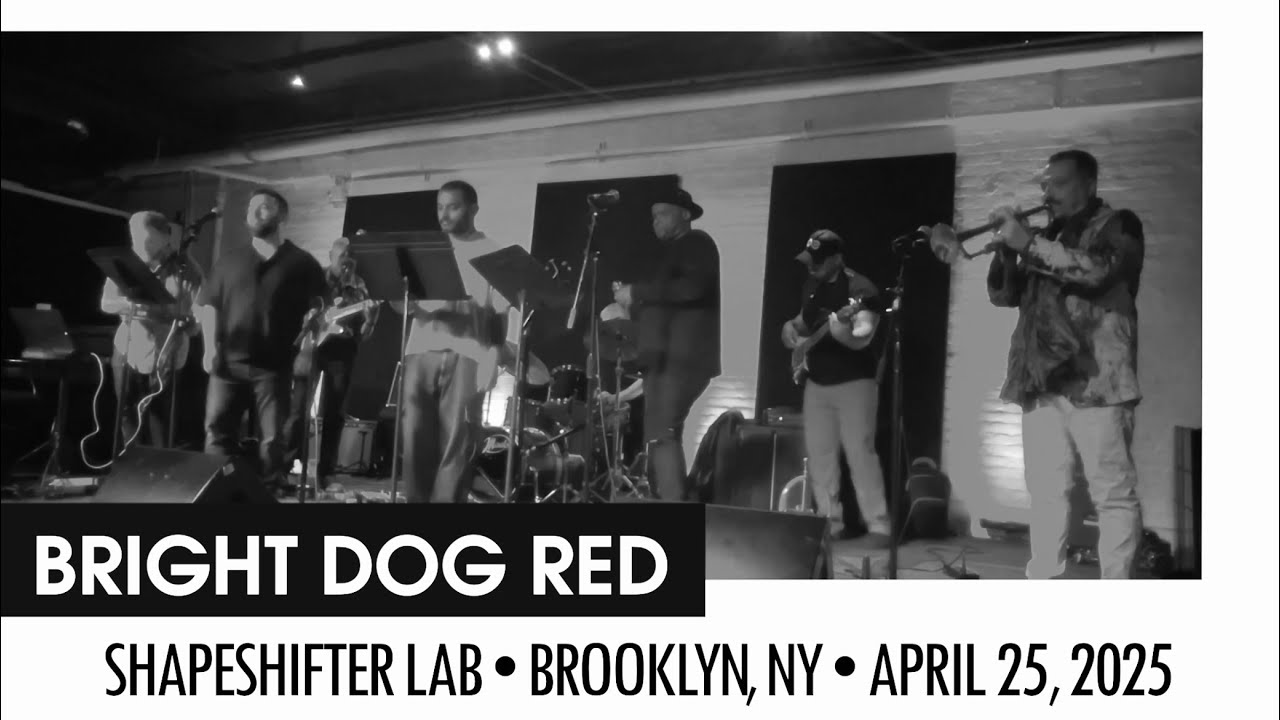 Bright Dog Red live at ShapeShifter Lab - YouTube