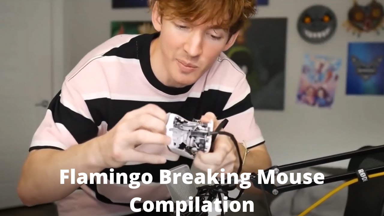 Flamingo Breaking Mouse Compilation - YouTube