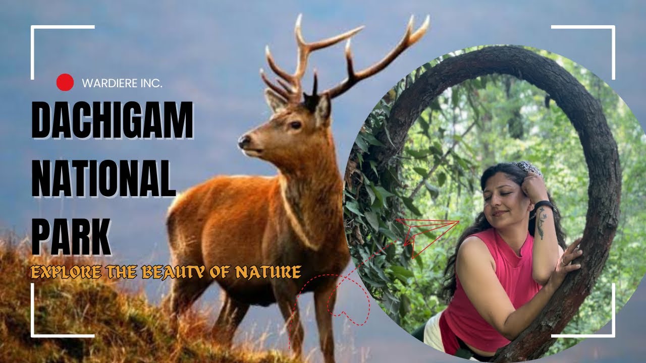 Dachigam National Park - Best place to Visit in Jammu Kashmir | Live ...
