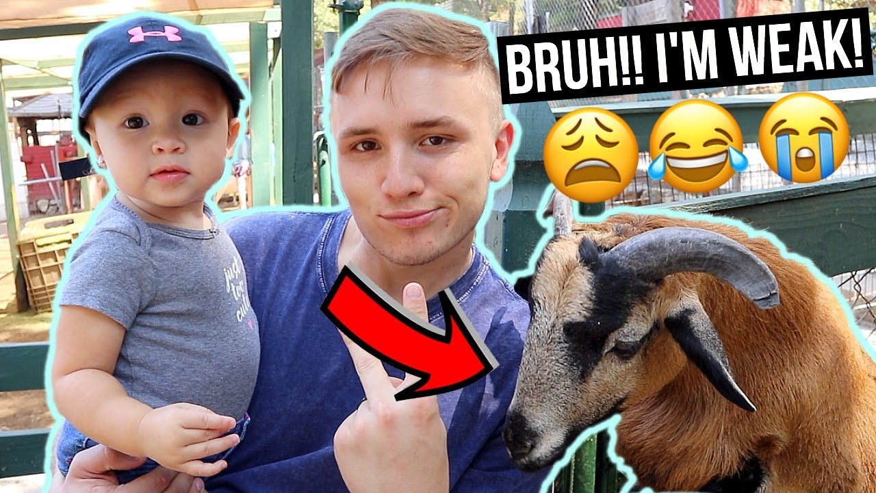 THIS IS WHAT HAPPENS WHEN YOU TAKE A CRAZY SMART BABY TO THE PETTING ...