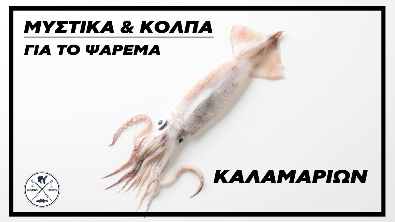 "ΜΥΣΤΙΚΑ ΚΑΙ ΚΟΛΠΑ ΓΙΑ ΤΟ ΨΑΡΕΜΑ ΚΑΛΑΜΑΡΙΩΝ"-SQUID THE TECHNIQUE OF ...