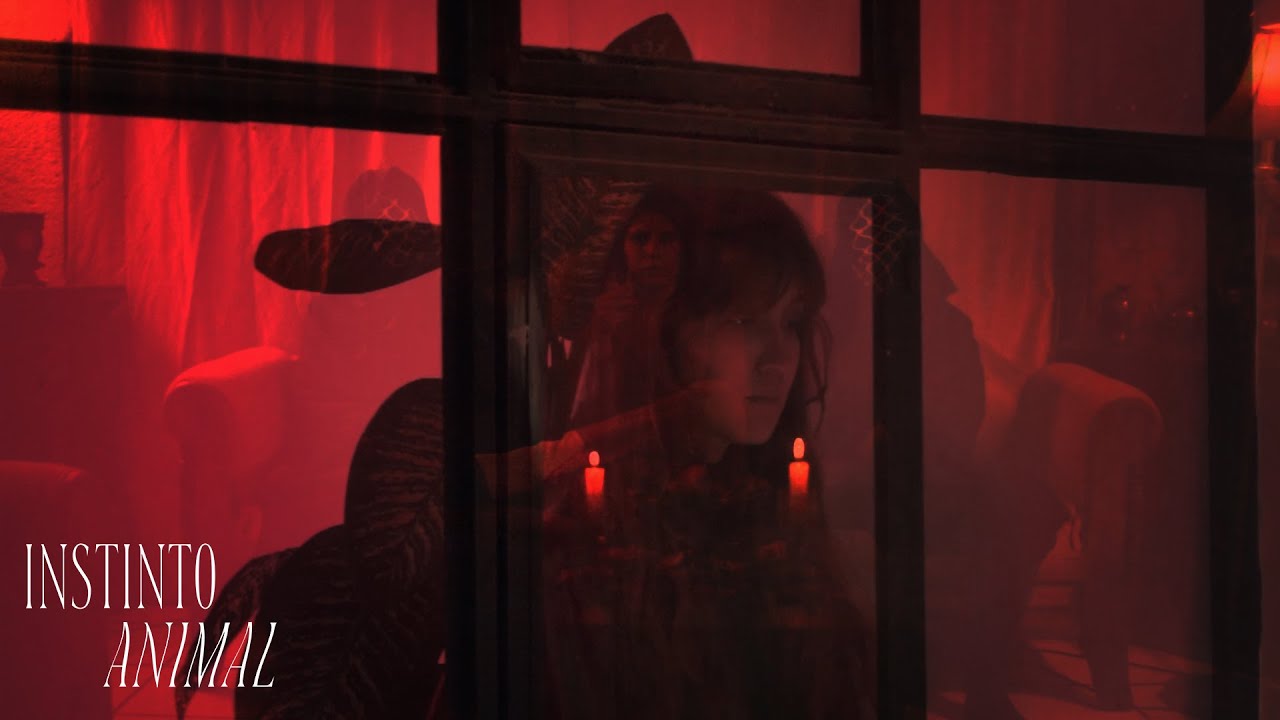 Los Rey Calavera - Instinto Animal (Video Oficial) - YouTube