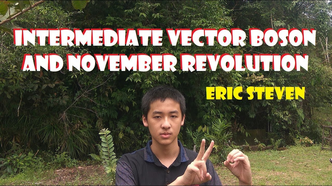 Mhs PFP : 05 Intermediate Vector Boson & November Revolution - YouTube