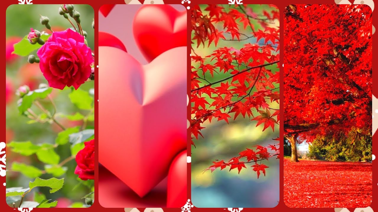 Red Theme | Wallpapers @Nature Beautiful Wallpapers - YouTube