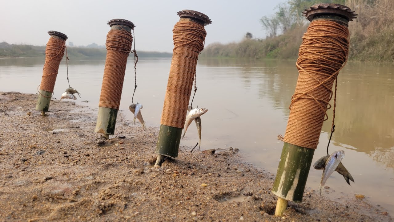 Fishing video Bamboo Pipe trap popular Hook fishing System boy catching ...