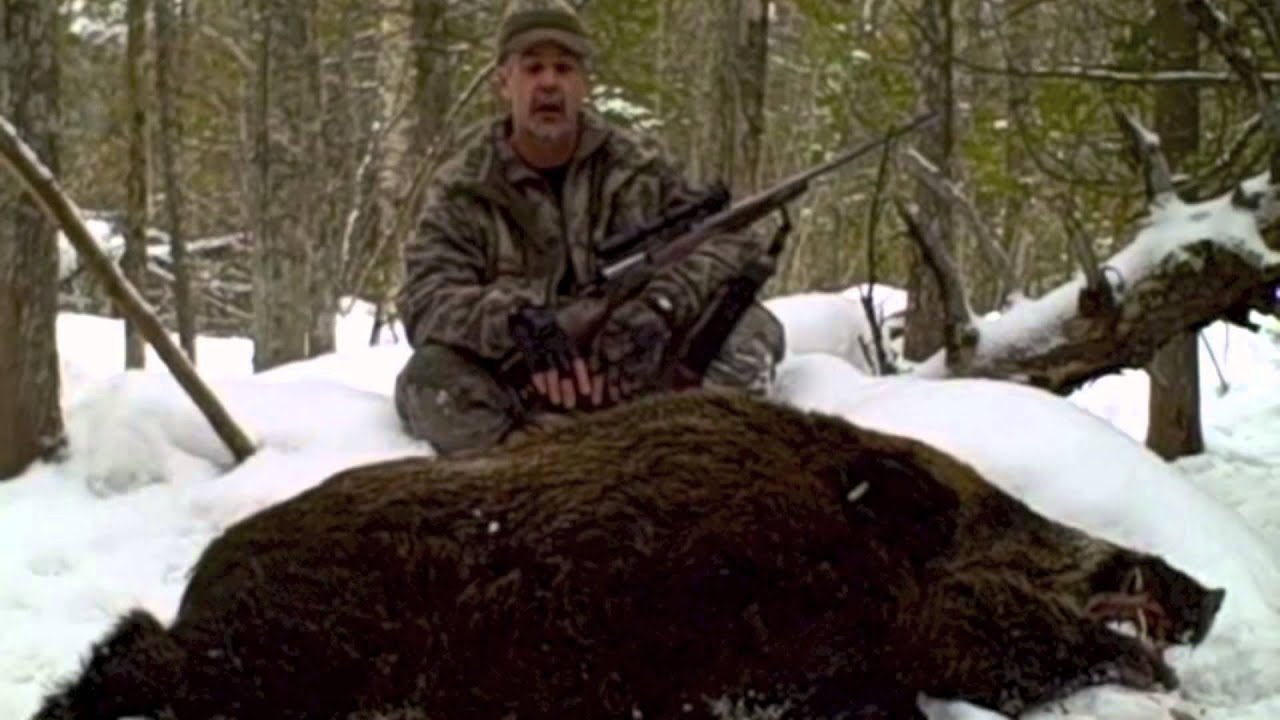 Russian Boar Hunting with Big Bill - Monster Cutters - YouTube