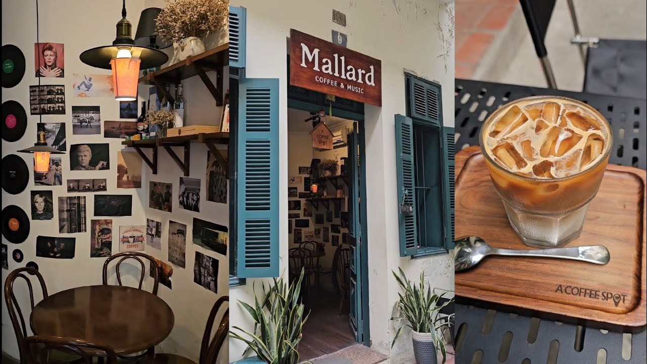 🇻🇳 ☕️ Mallard. Coffee and Music | 카페탐방. 골목 안쪽 자리한 몰라드 카페 | Cà phê và âm ...