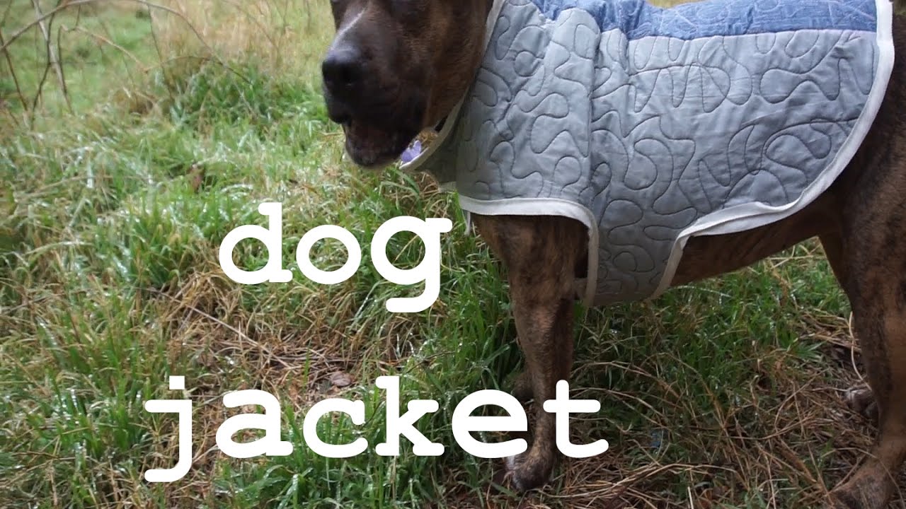 DIY Dog Jacket Coat Thing - YouTube