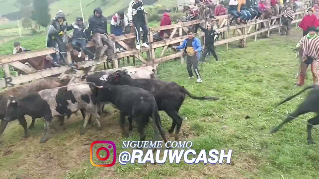 El GRAN RODEO DE CHAGRA 🐎🐂 en los PARAMO de tilivi |Rauw cash|√ - YouTube