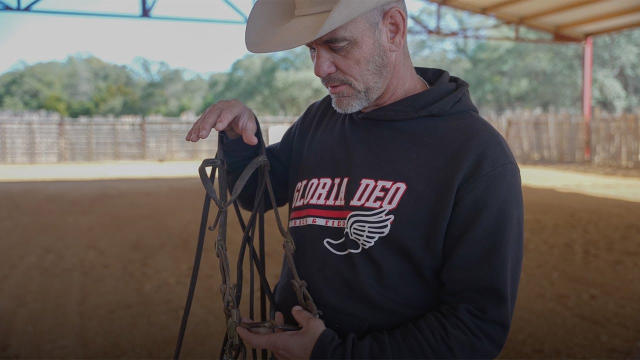How to use a snaffle bit by a professional horse trainer - YouTube