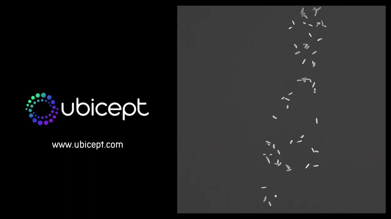 Ubicept Counting and Inspecting Small Objects - YouTube