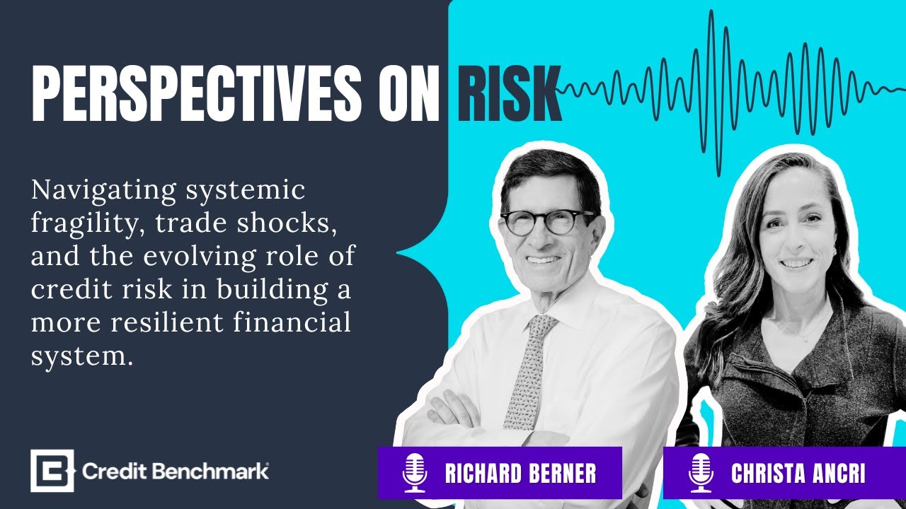 Perspectives on Risk: Expert Voices in Financial Resilience with ...