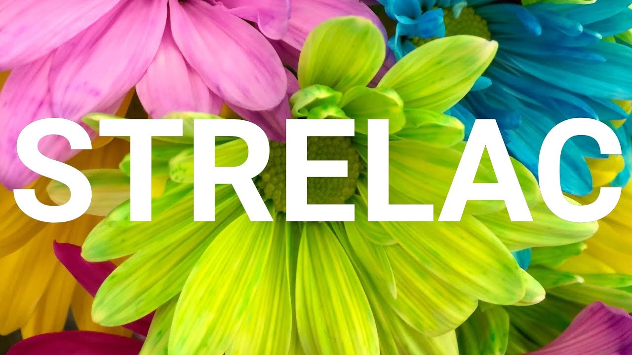 STRELAC APRIL 💕Svemir Vam pomaže HOROSKOP 2023. - YouTube