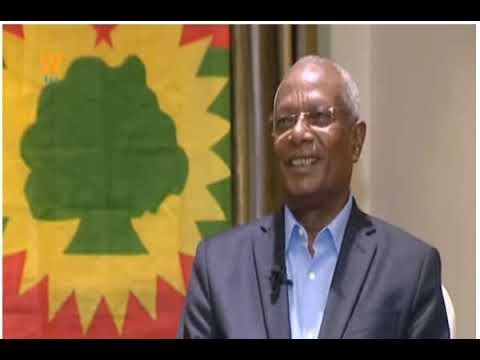 Ethiopia: Dawud Ibsa interview with Walta Television፡ የዳዉድ ኢብሳ ቃለ መጠየቅ ...