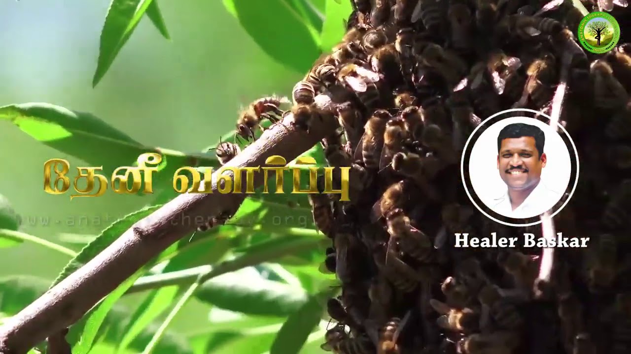 Healer baskar - YouTube