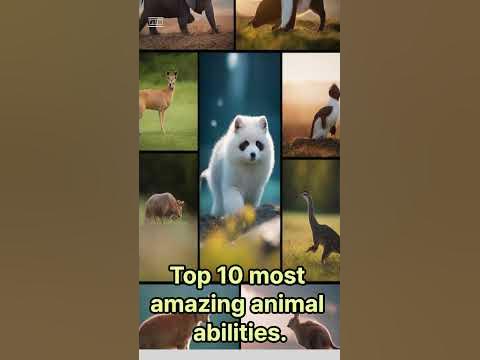Top 10 Animal Amazing Abilities - YouTube