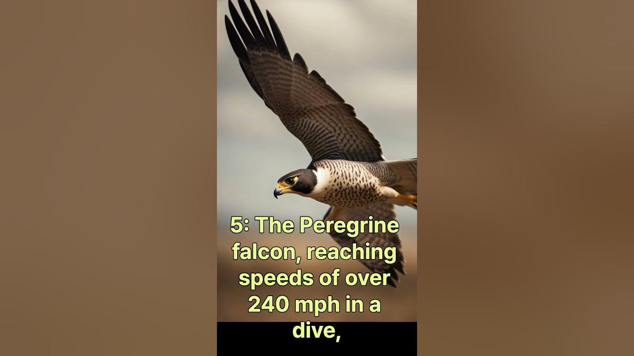 The 10 Most Amazing Animals’ Abilities - YouTube