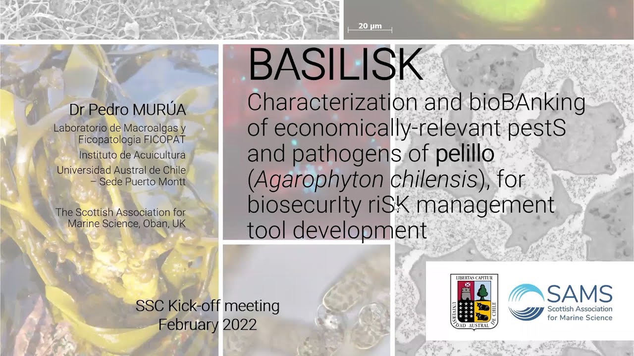 The BASILISK project - YouTube