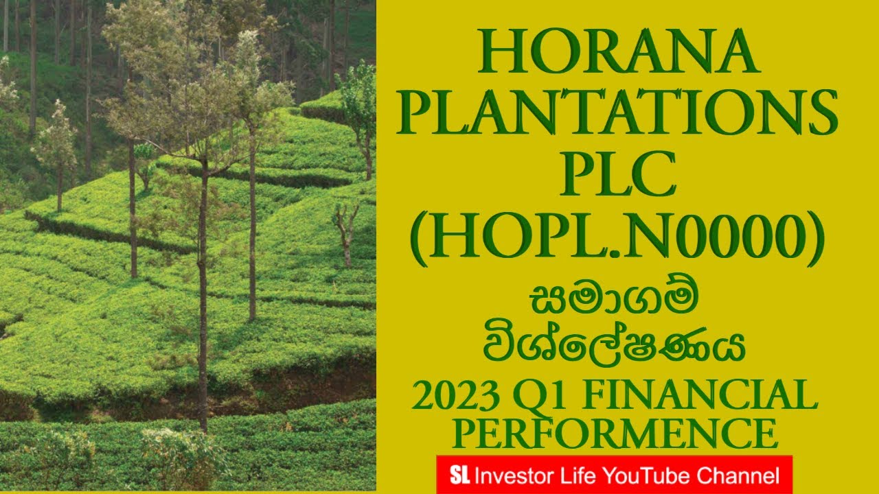 HORANA PLANTATIONS PLC 2023 Q1 (HOPL.N0000) - YouTube