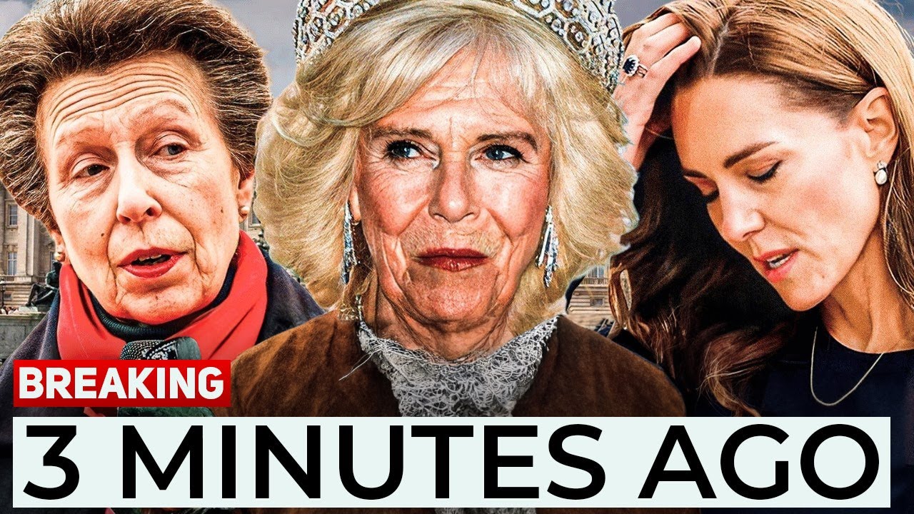 Princess Anne Drops Bombshell: The Queen's Message to Catherine That ...