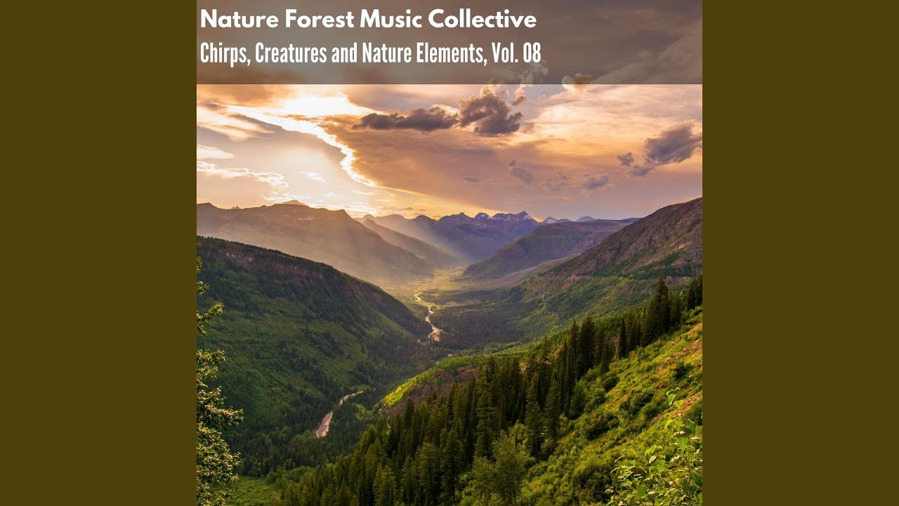 Cloudless September with Insects - YouTube