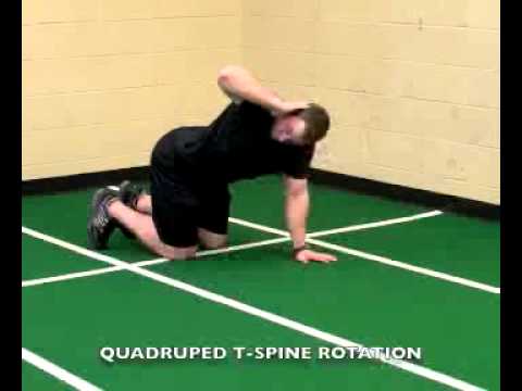 QUADRUPED T SPINE ROTATION - YouTube