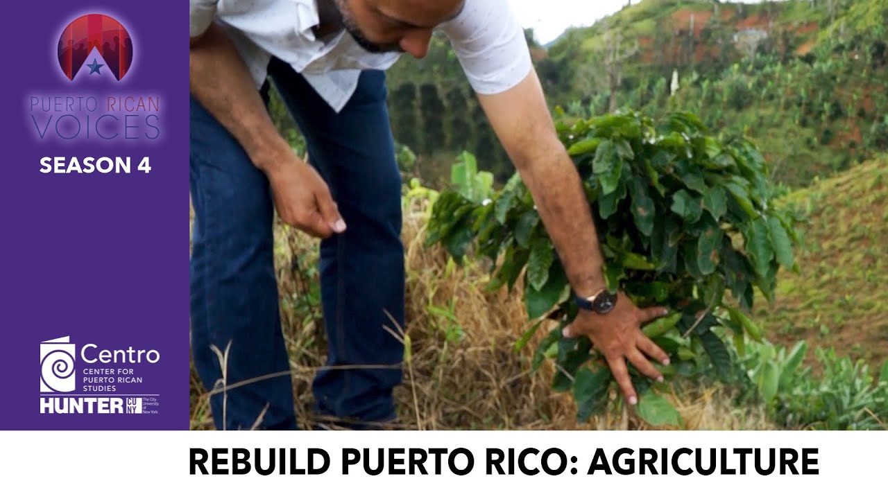 Puerto Rican Voices - Agriculture - Season 4 Episode 6 - YouTube