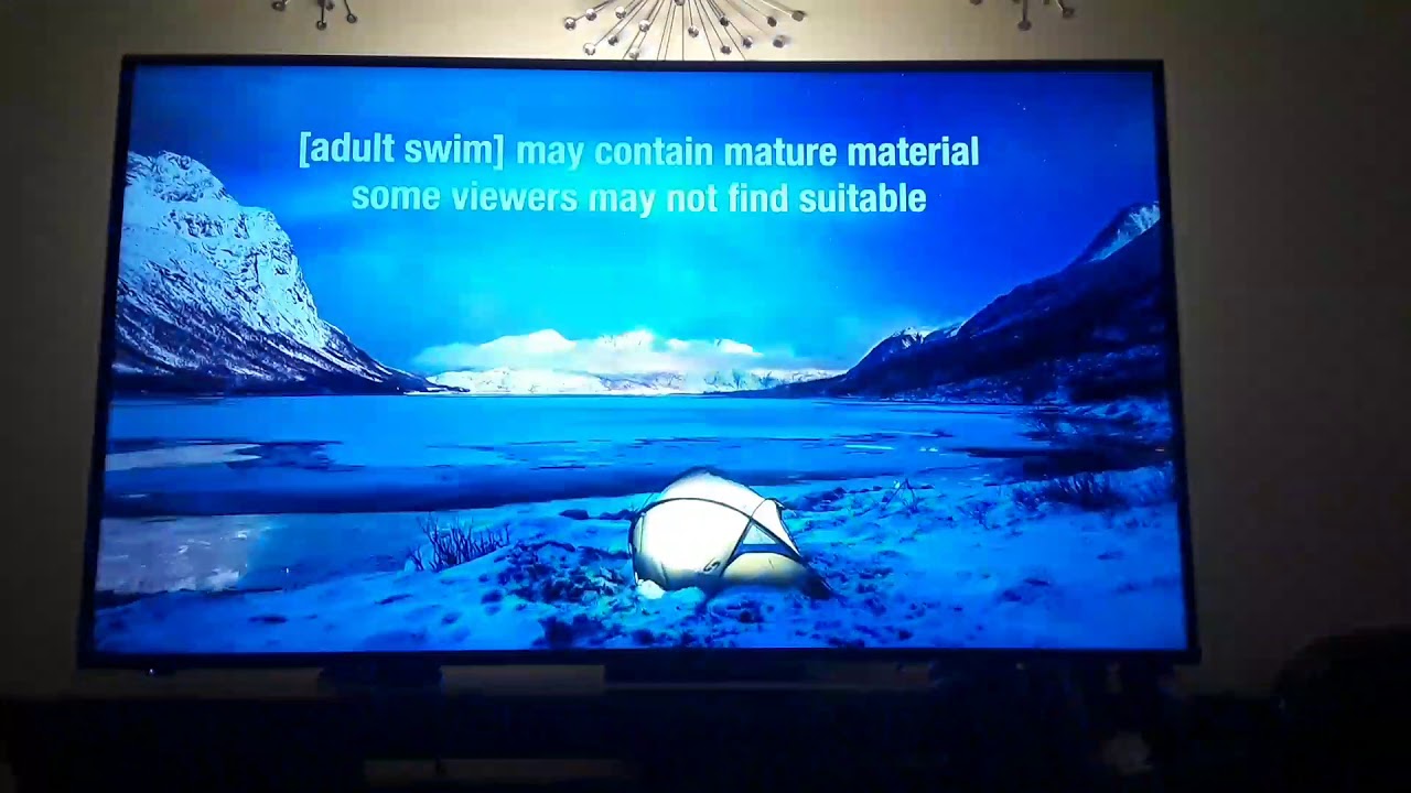 Watching the 2nd adult swim disclaimer - YouTube