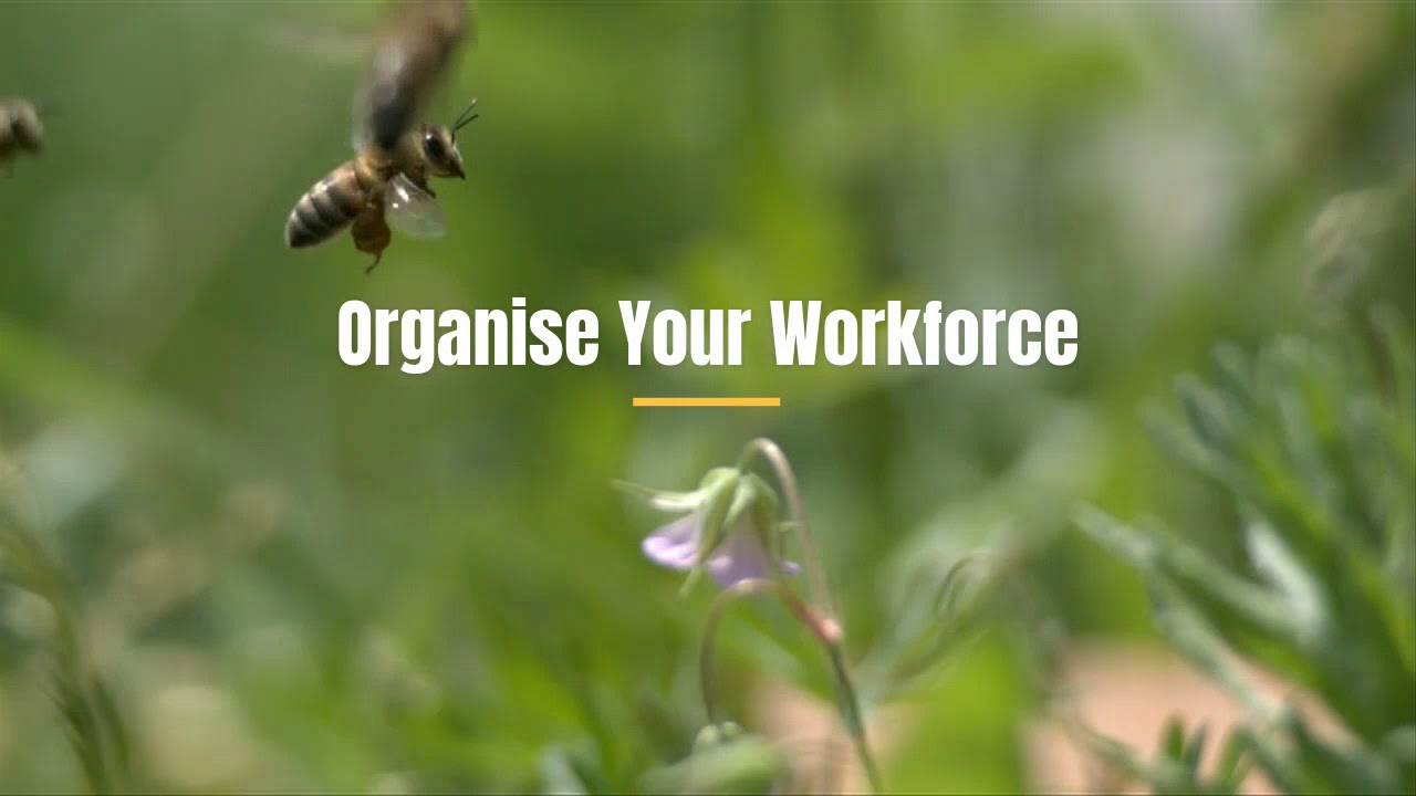 Be Smart - Organise your Workforce with HFX - YouTube