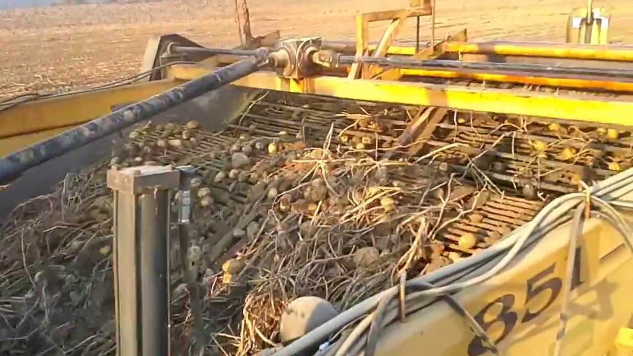 4-row Double LL Windrower - YouTube