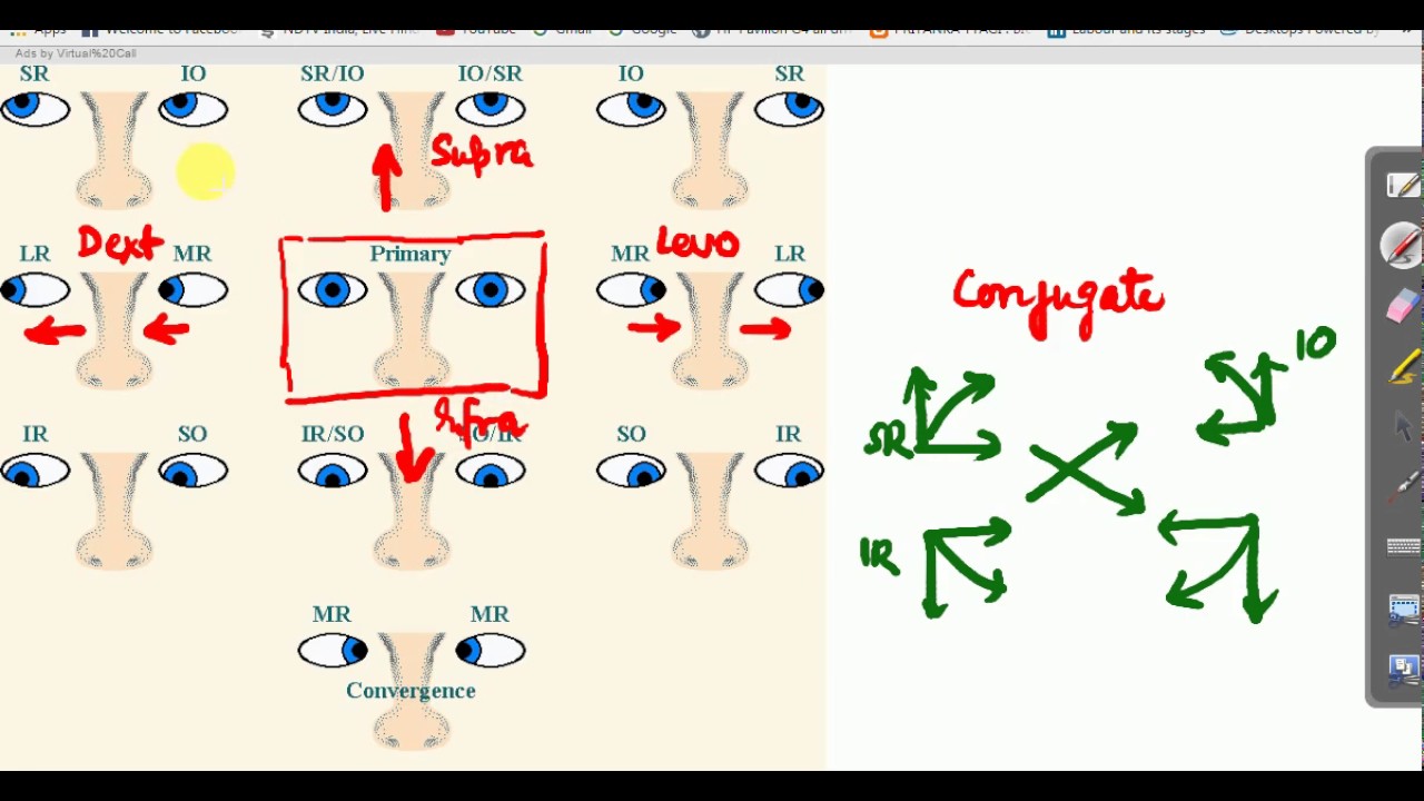 OPHTHALMOLOGY LECTURES Types of ocular movements - YouTube