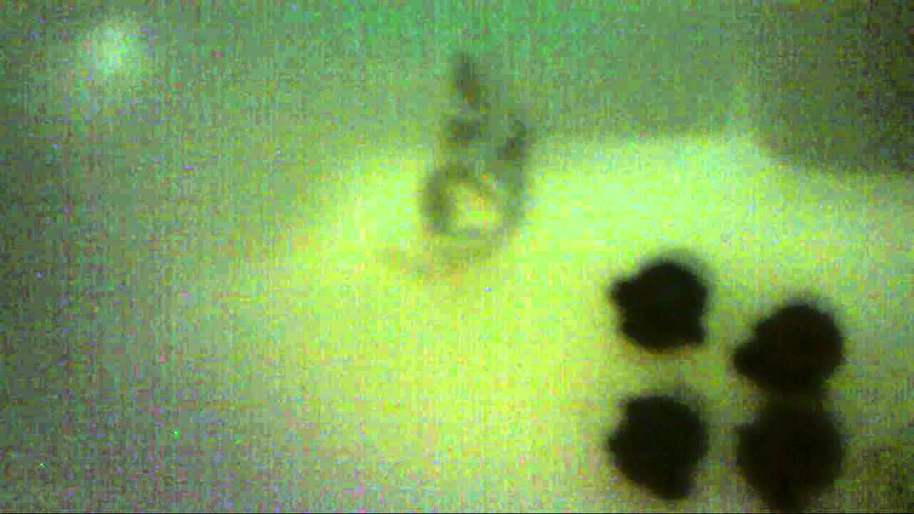 Smashed PS3 Controller - YouTube