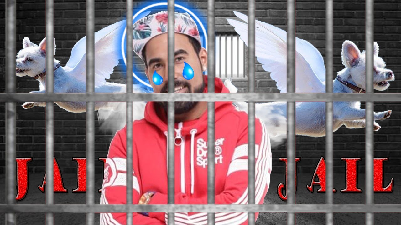 GAURAV ZONE Arrested || Flying Dog 🕊️🐶 ft- @GAURAV ZONE || VLOGGERS OF ...