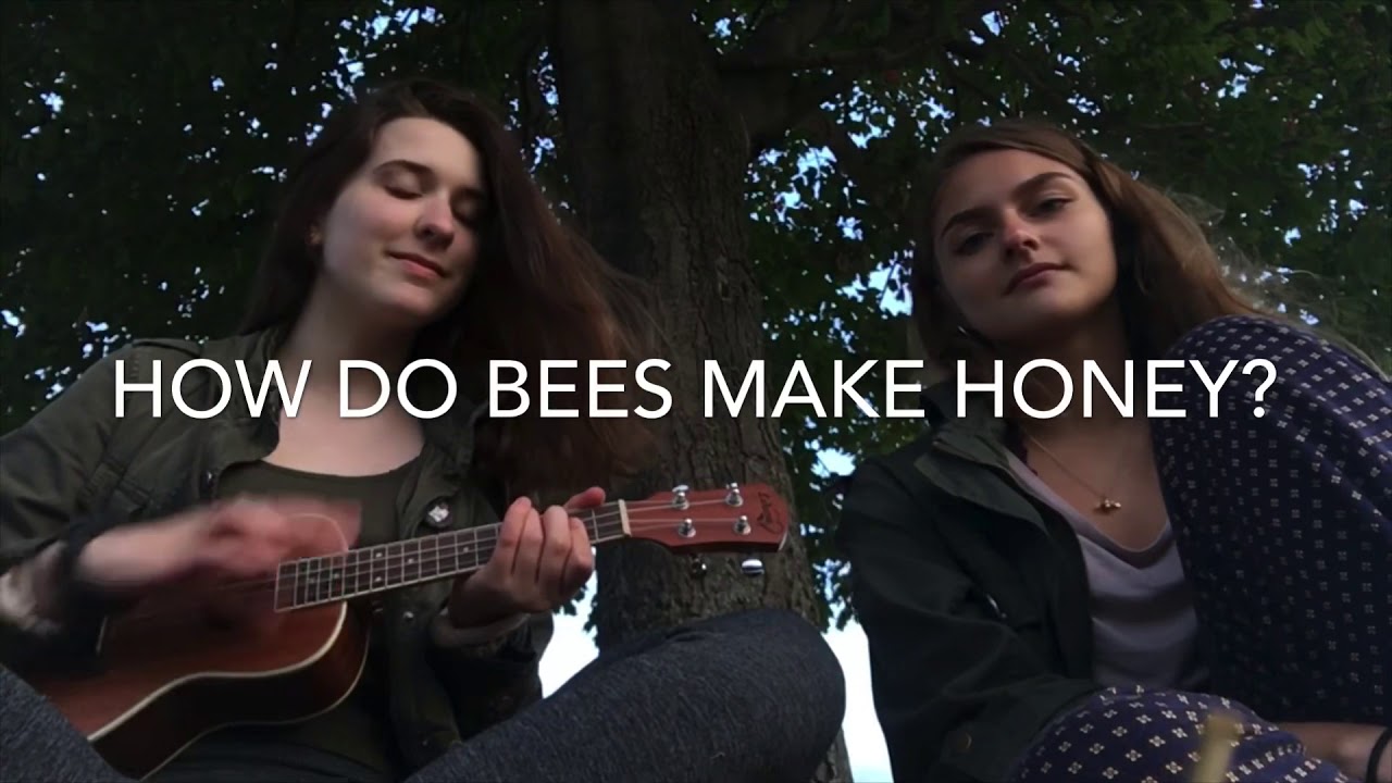 how do bees make honey? -an original song - YouTube
