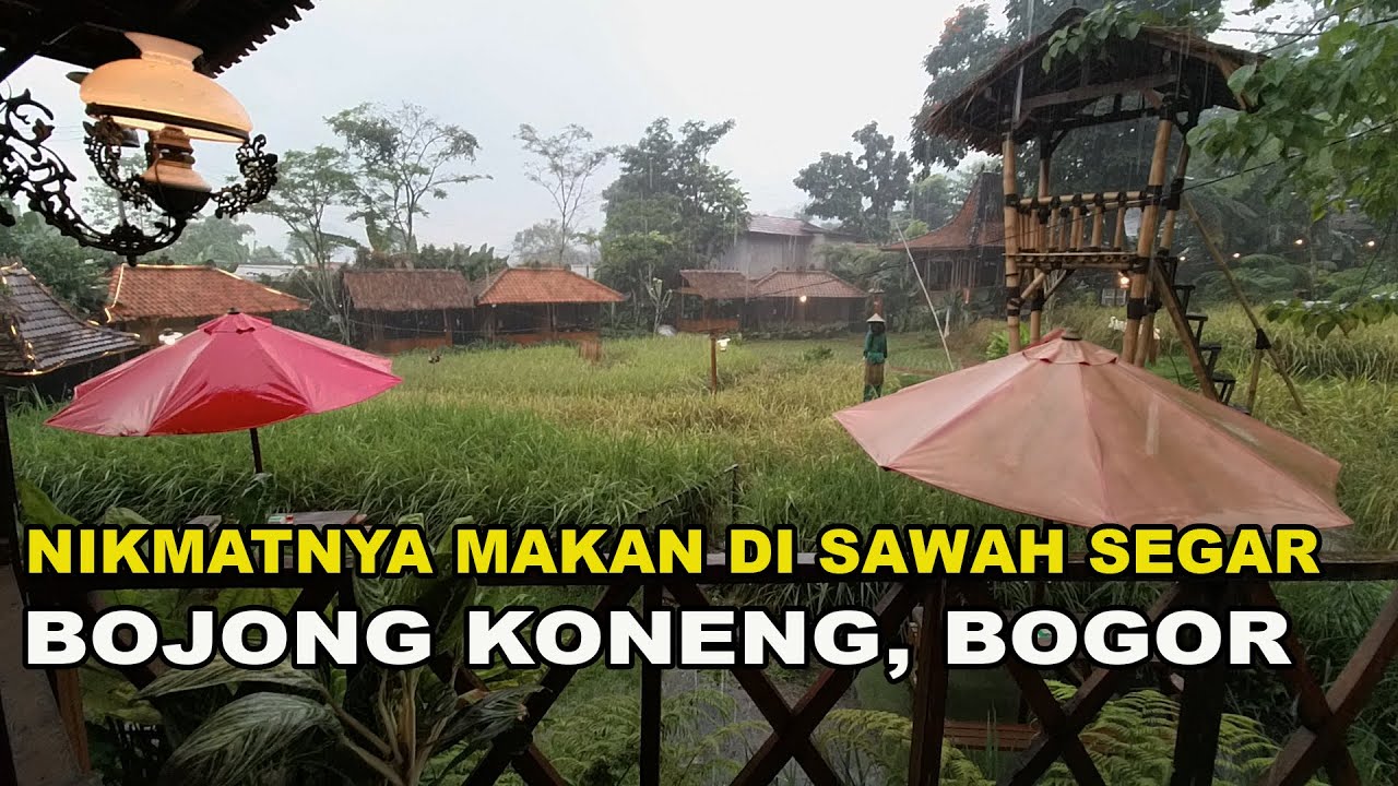 Kuliner di Tepi Sawah dengan Padi Menguning ~ Hujan Deras di Resto ...