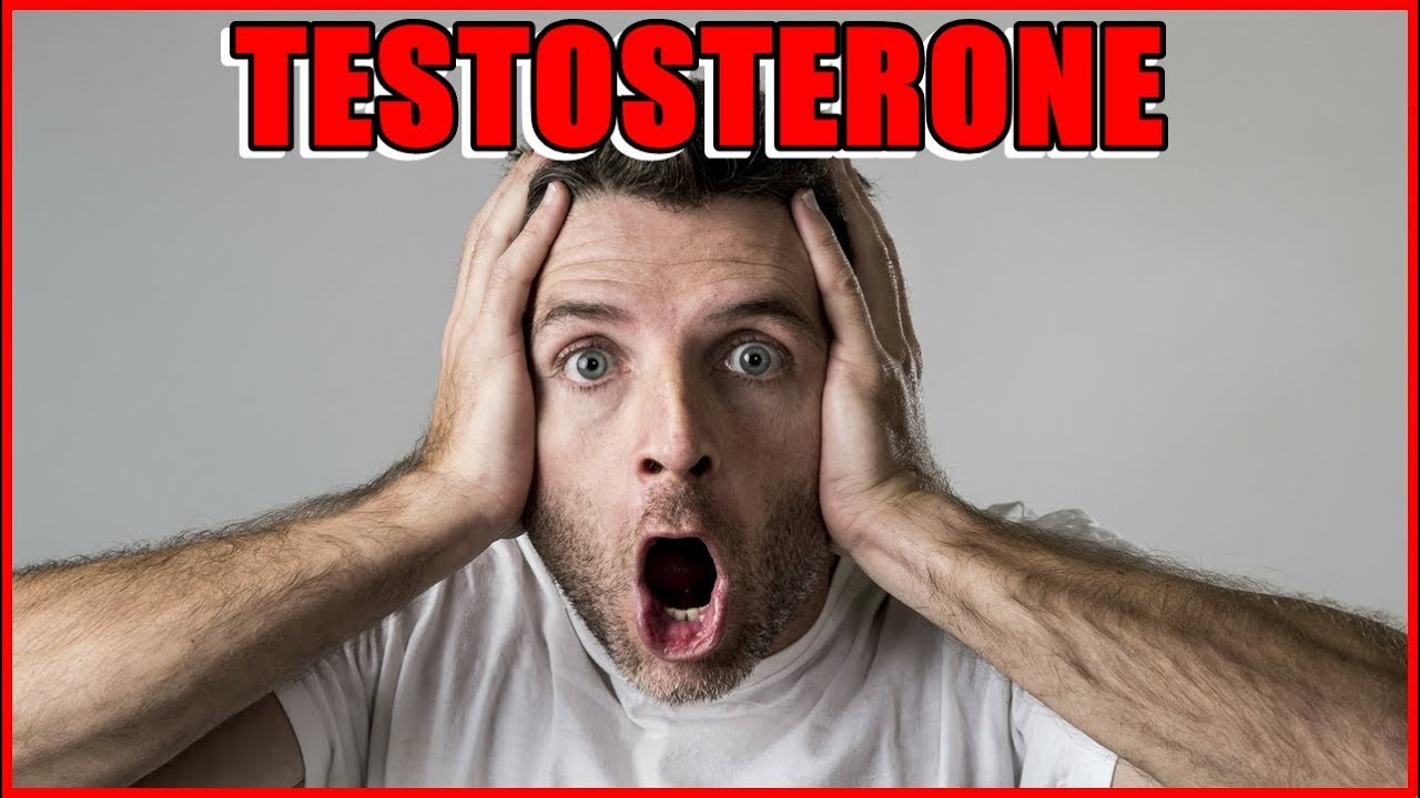 6 Insane Testosterone Facts - YouTube