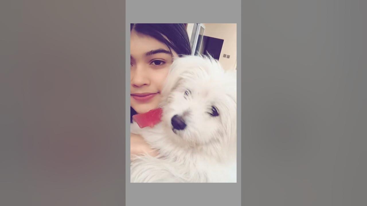 # Mochu💞 - YouTube