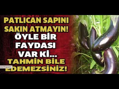 Patlıcan Sapı İle Basur Tedavisi Nasıl Olur Kullananların Yorumları