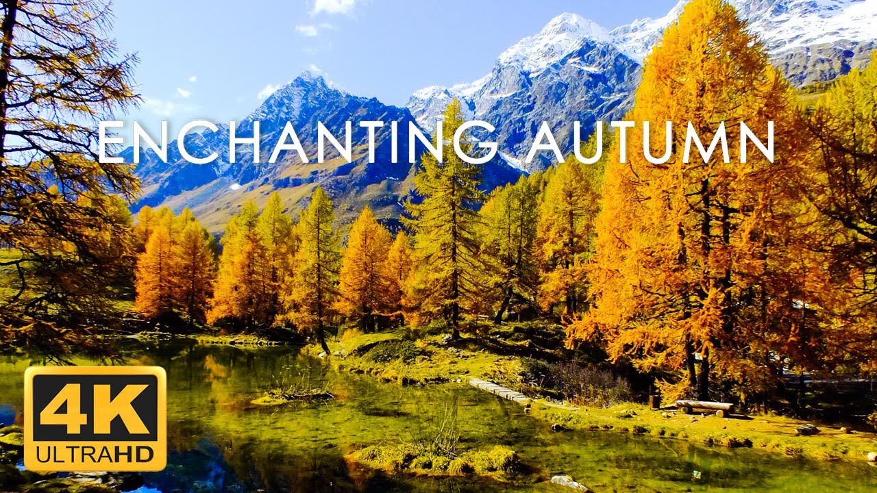 11 HRS Incredible Fall Foliage - Best 4K Autumn Nature Scenes from ...