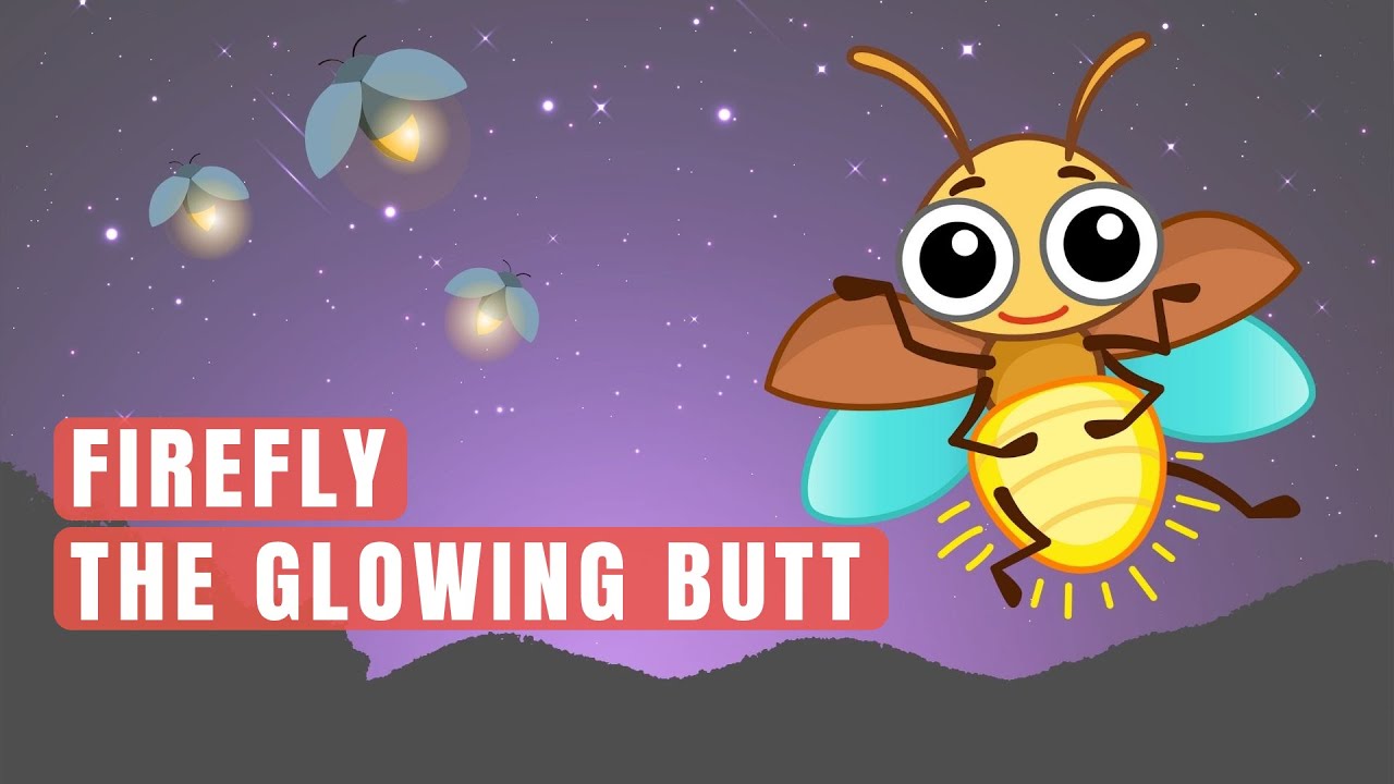 FIREFLY SECRETS: THE GLOWING BUTT THAT SAVES THE NIGHT! | Animal ...