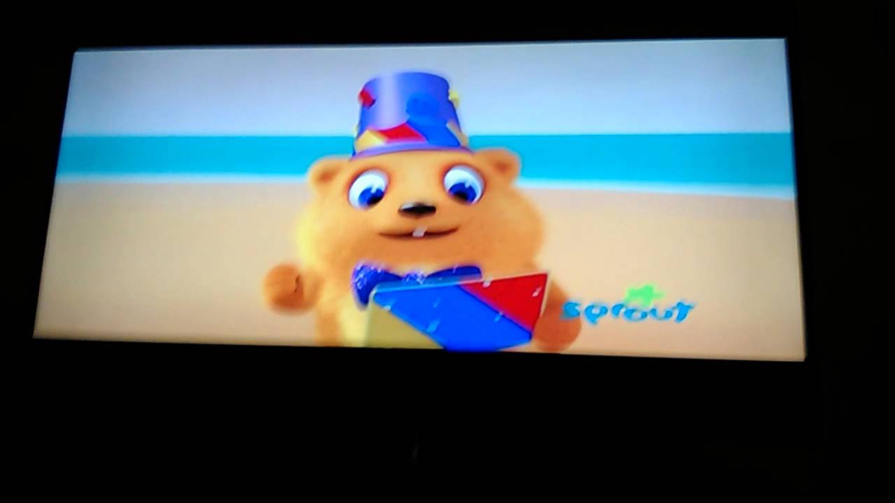 RuffRuff Tweet And Dave Beach Adventure - YouTube