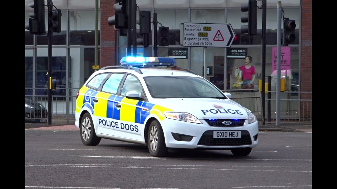 Surrey Police Dog Unit Responding - YouTube