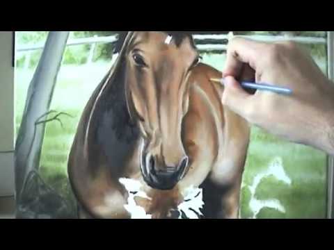 A commission to paint Tilley, in Oils on Canvas, by Neil Geddes-Ward ...